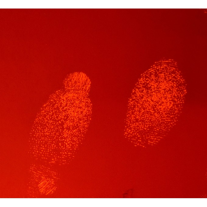 Incinta portabila relevare urme papilare Ninhidrina DFO Indanediona